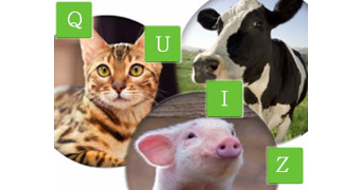 Animal Quiz - Play Animal Quiz Online - BestGames.Com