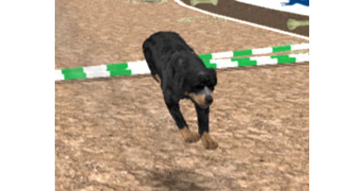 Dog Racing Simulator 3D - Play The Game Online - BestGames.Com