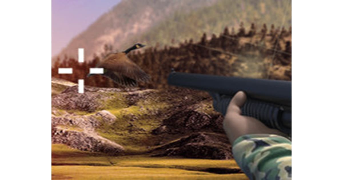 Duck Hunter 2 - Play Duck Hunter 2 Online - BestGames.Com