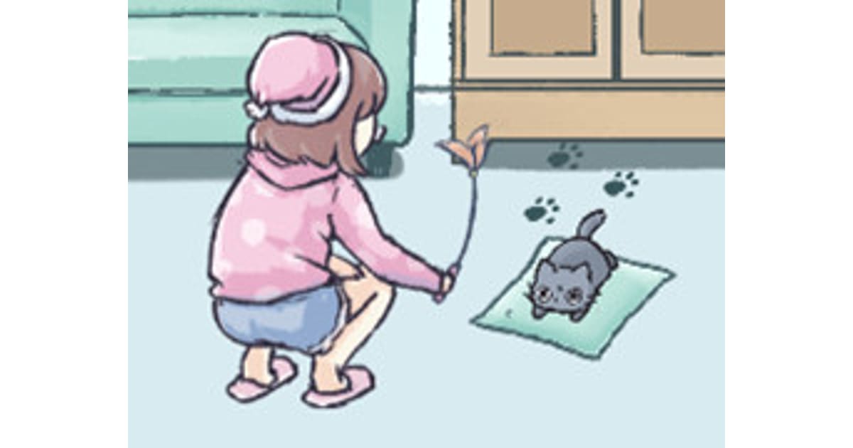 Find Cat - Play Find Cat Online - BestGames.Com