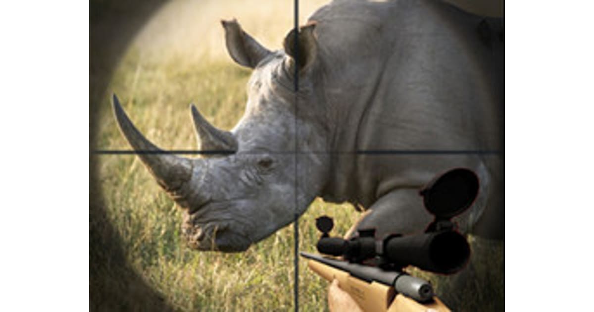 Wild Rhino Hunter - Play Wild Rhino Hunter Online - BestGames.Com